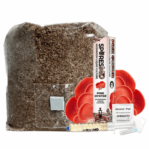 Mushroom Grow Bags - SporesMD