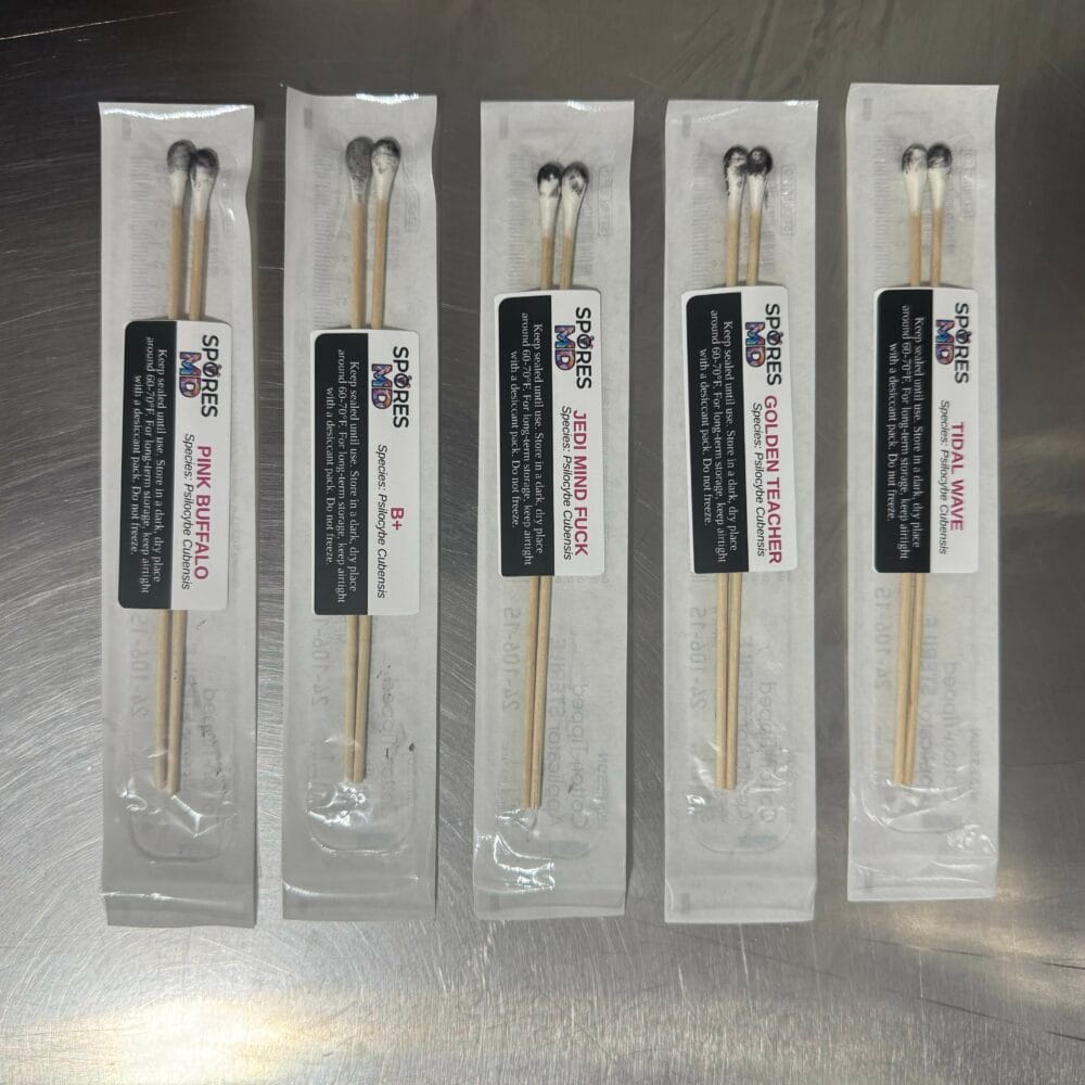 Golden Teacher Mushroom Spore Swabs | SporesMD