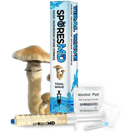 Colorful Chaos: Identifying Wild Variations in Spores - SporesMD